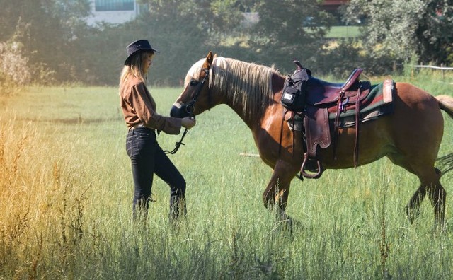 Resilient Zodiac Signs